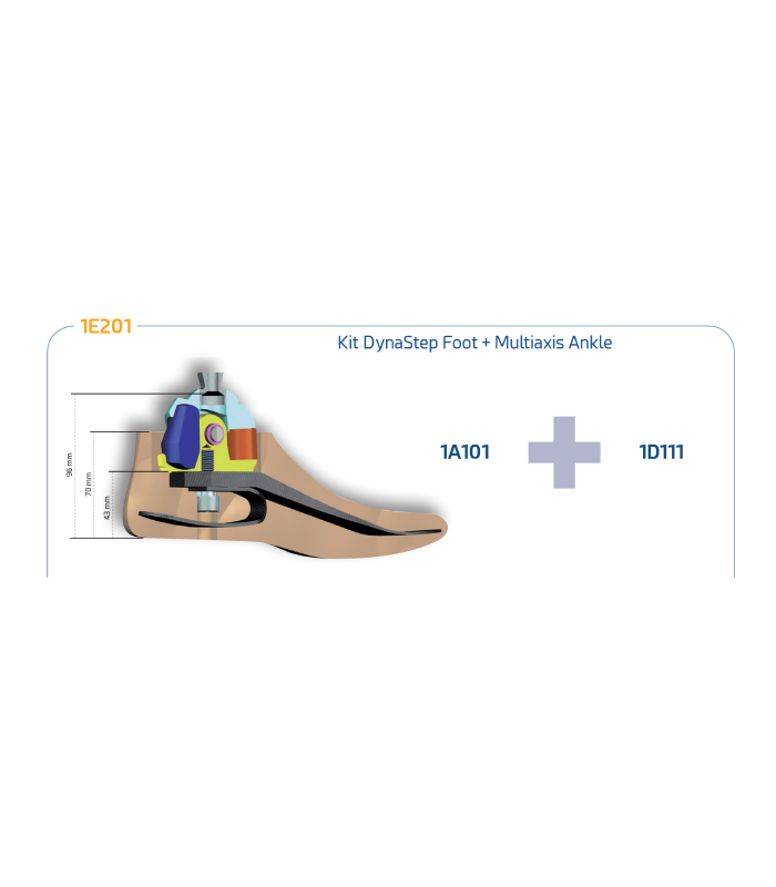 انواع الاقدام الفرنسى - alfadlmedical.com